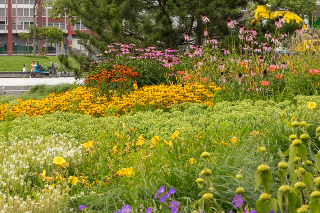 Vasteplantenkwekerij Griffioen Wassenaar